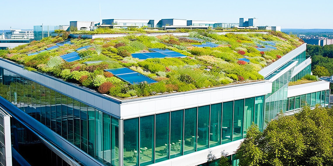 Atlanta S Leed Advantage Green Roof Installs